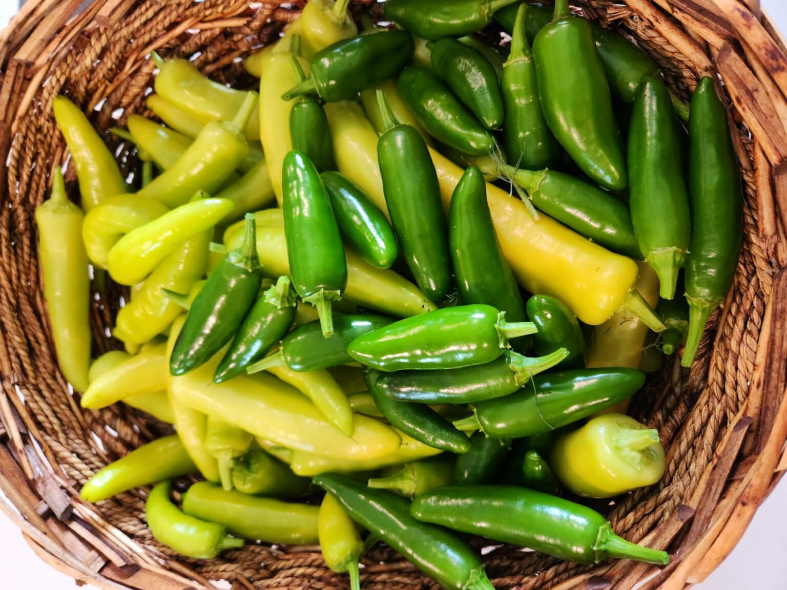 How to Grow Peppers in Zone 5 (Complete Cold Climate Guide) - DBS Farm ...