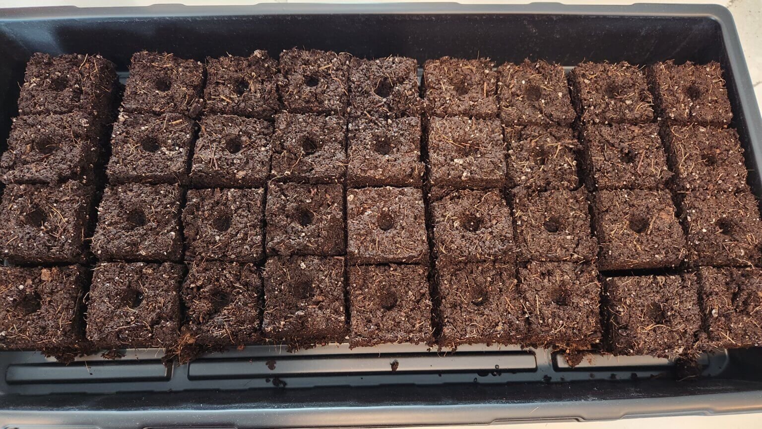 Zone 5b Planting Schedule & Calendar: What To Plant From Spring to Fall ...